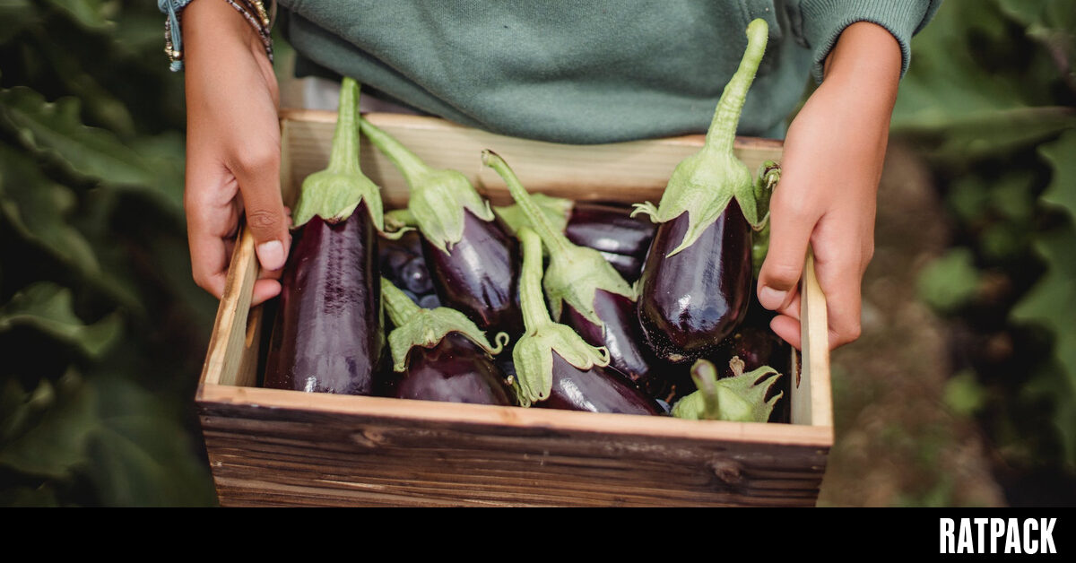 Το νέο iOS 17 θα προειδοποιεί για τις dick pics - RatPack.gr