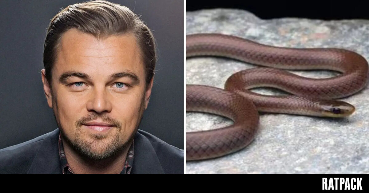 Πόσο τιμητικό είναι να δίνουν το όνομά σου σε ένα φίδι; Ειδικά όταν ...