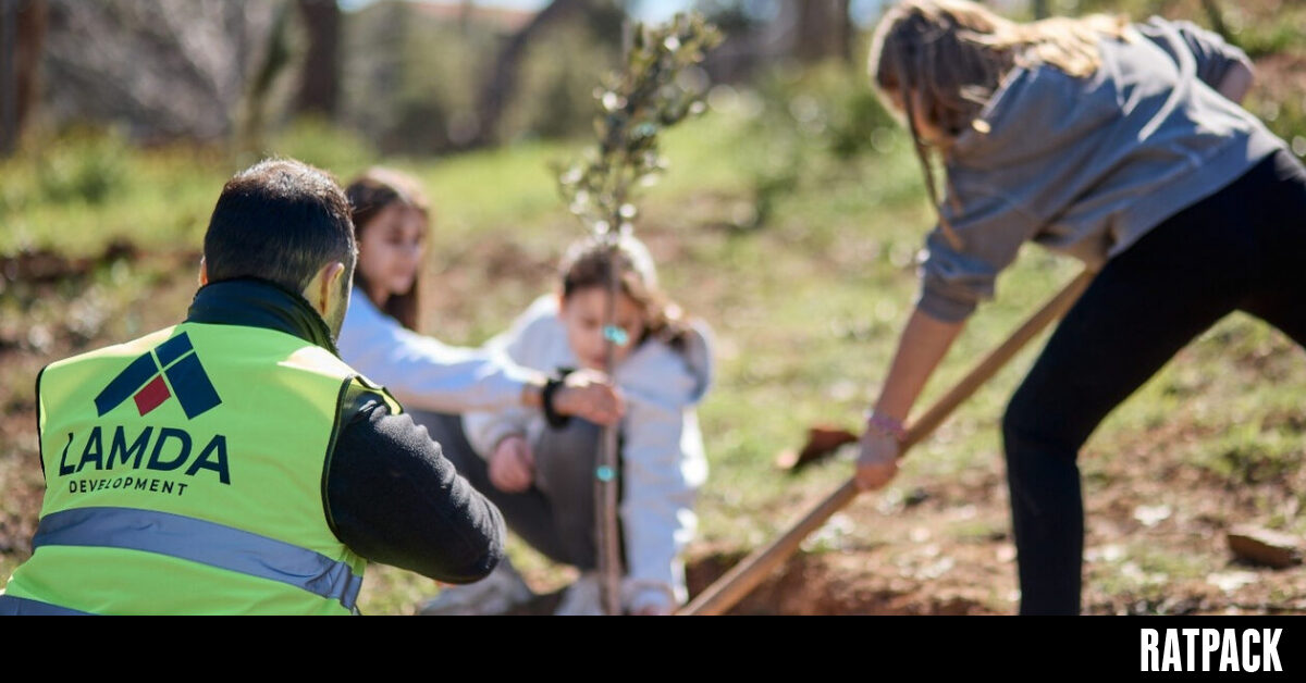 Η μέρα «μετά»: Η LAMDA Development αναλαμβάνει δράση στα καμένα της Πεντέλης - Ratpack.gr